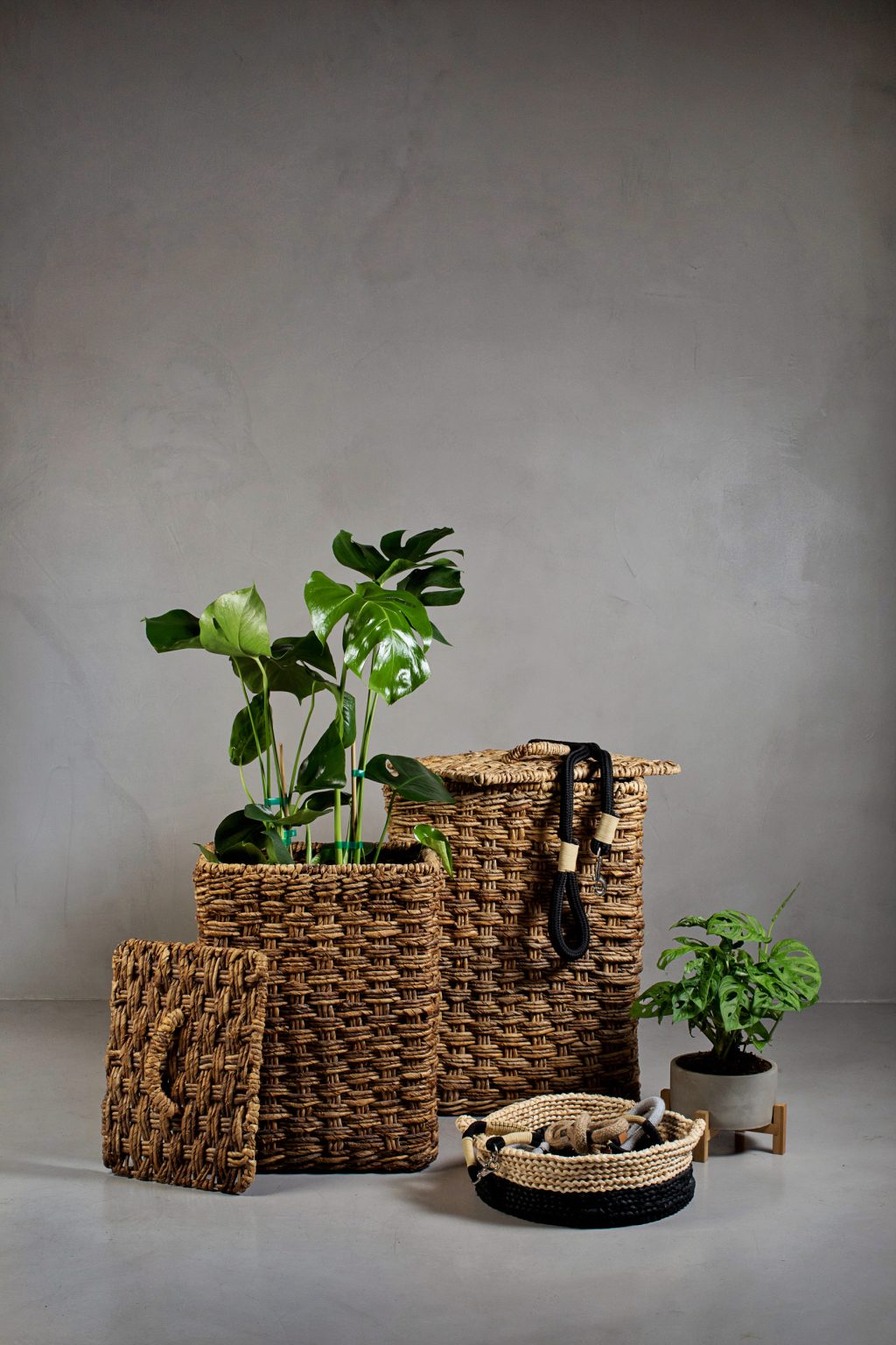 Αρχική - Moustakis Flower Company